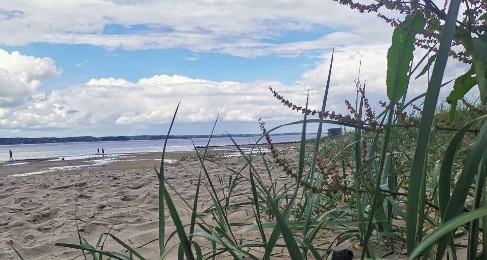 Flensburg Ostseebad - Entspannung und Erholung an der Förde